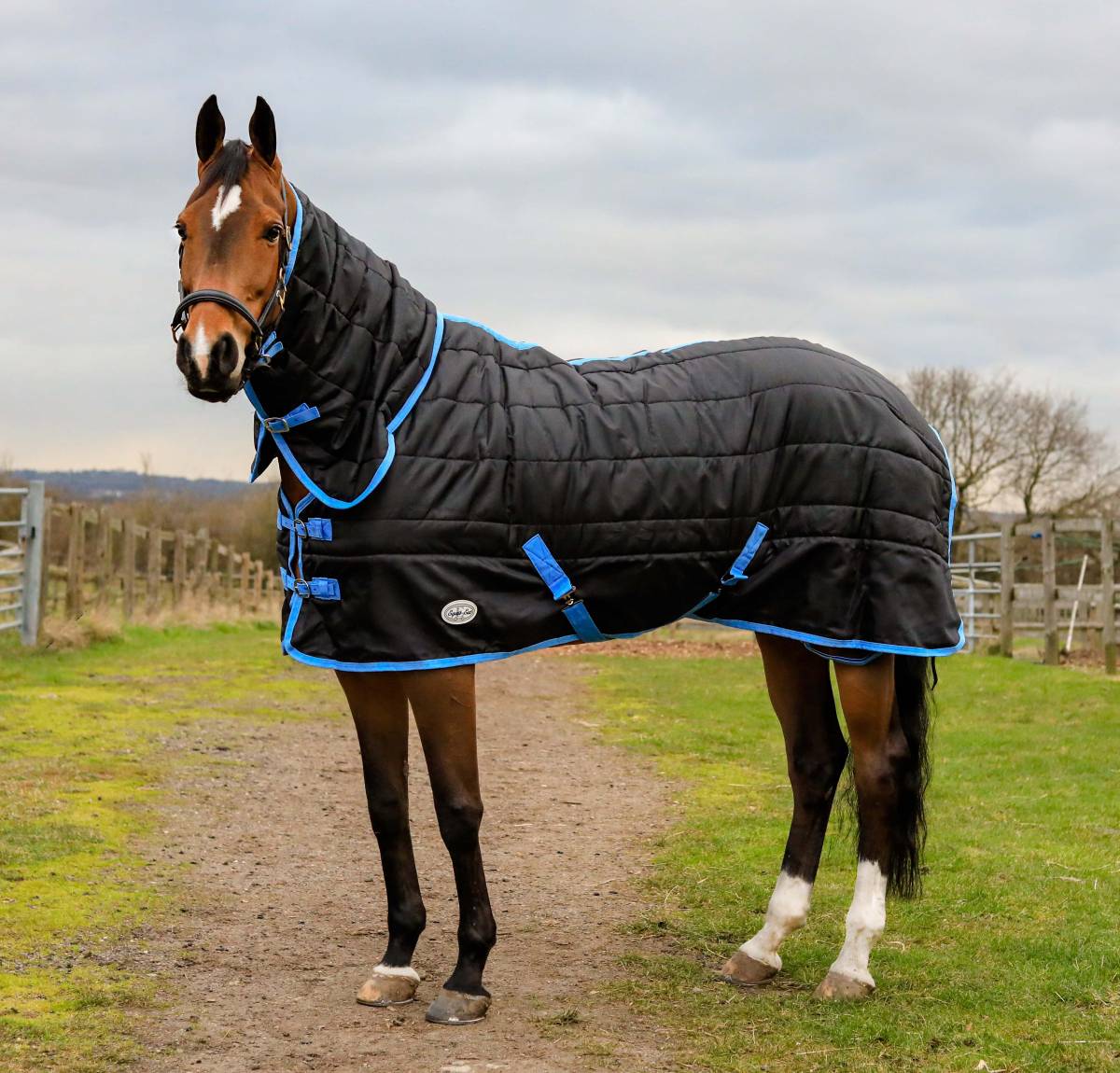 Wisper 200g Stable Rug | Medium weight | Equii-Est