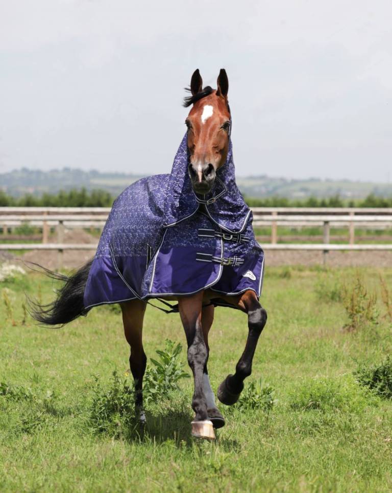 Atlantic Lightweight Turnout Rug | Equii-Est